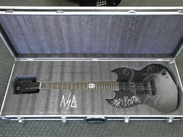 ASG Artist Series Guitar AP/500 Sick Of It All Pete Koller | Reverb