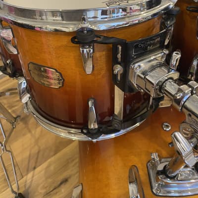 Pearl Session Custom Kit w/20’ Kick - Amber Sunburst | Reverb