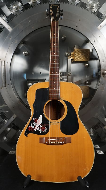 Encore Acoustic Guitar w/ Dove Pickguard | Reverb