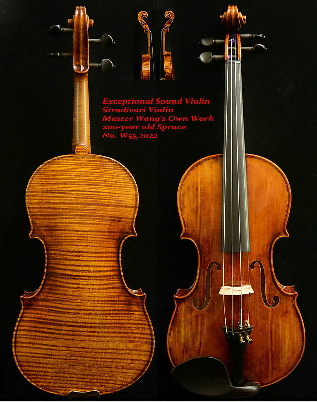 An Exceptional Sounding Violin Stradivari Violin No. W55 | Reverb UK