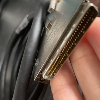 Amphenol Cable scsi 5 ultra rare ultra thick and long great | Reverb