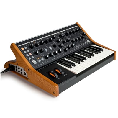 Moog Subsequent 25 Analog Synth | Reverb