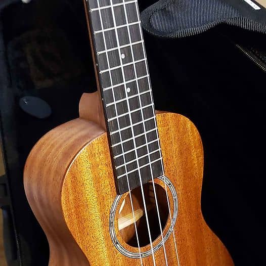 Corbin UKT500C Concert Ukulele With Gig Bag | Reverb
