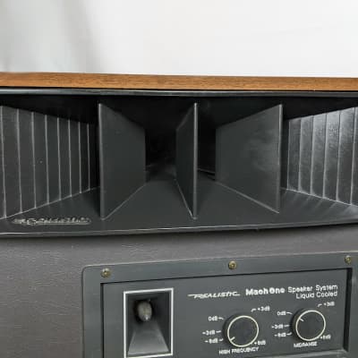 Realistic Mach One 40-4029 Liquid Cooled Floor Speakers | Reverb