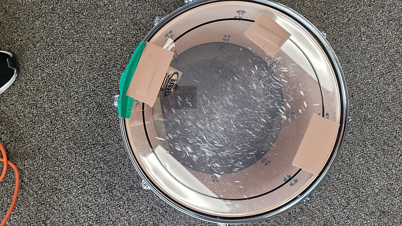 PDP LX 14.5" Low Tom | Reverb