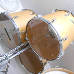 Carmine Appice's Rod Stewart, Realistic Rock, Ludwig 76 | Reverb