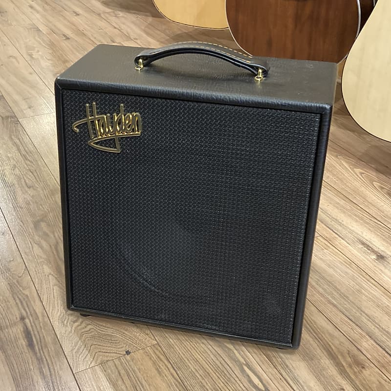 Hayden Petite 2 2w 1x10" All-Valve Combo Amp | Reverb UK