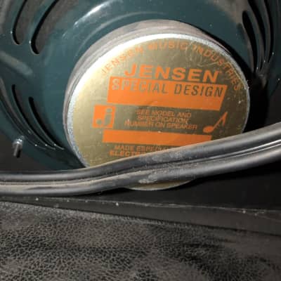 StewMac Princeton Clone 2022 | Reverb