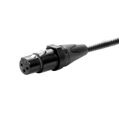 PERSEUS 4 Channel XLR Fan to Fan 10 ft Audio Snakes with | Reverb