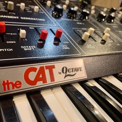 Octave Cat SRM 1980 | Reverb