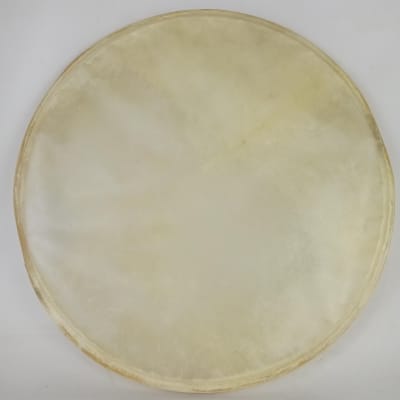 14" Slunk Snare Drum Resonant Calf Skin Head Vintage 1920s | Reverb UK