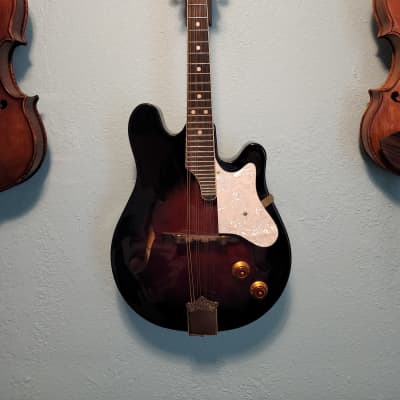 Fender FM62SCE Mandolin 2000s Purple | Reverb