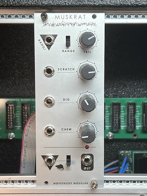 Moffenzeef Modular Muskrat and Alternate Firmware Chips 2020 | Reverb