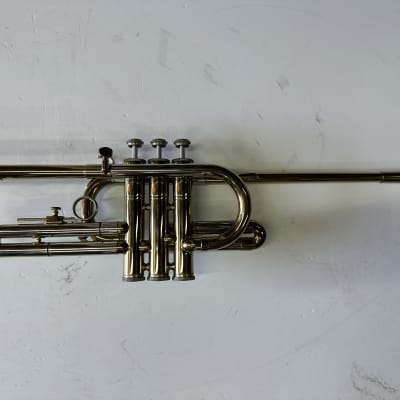 Blessing Herald Trumpet - Lacquer | Reverb