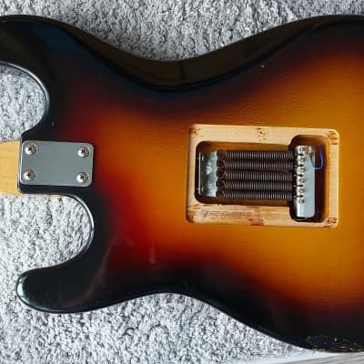 HERTiE-Caster Strat-Knochen Toledo E-Guitar Vintage 6 | Reverb France