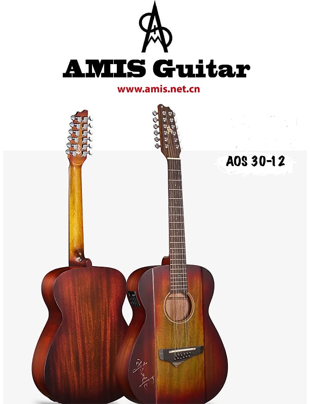 AMIS AOS30-12 12-String Acoustic guitar-Best guitar in this | Reverb