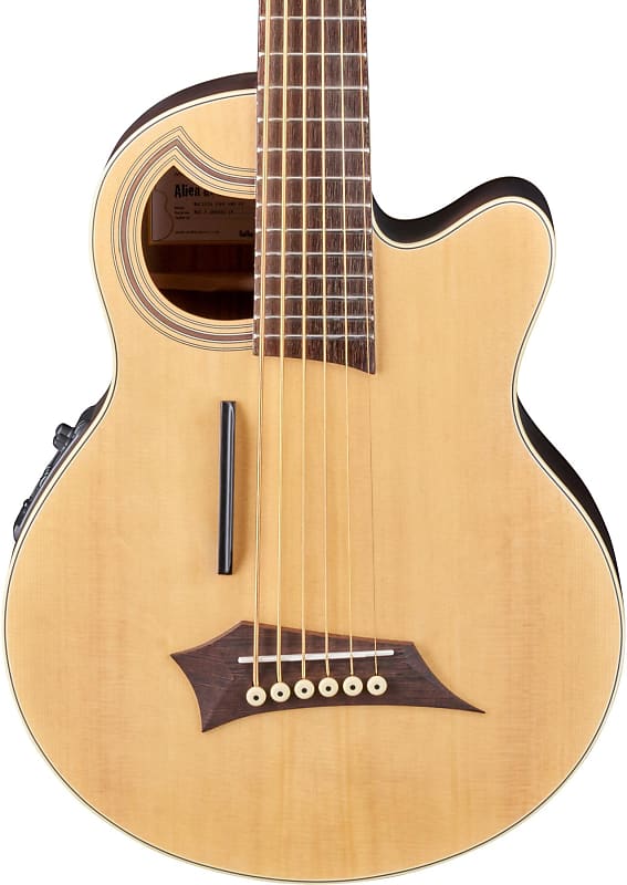 Warwick RockBass Alien Deluxe 6-string Acoustic-electric Bass | Reverb