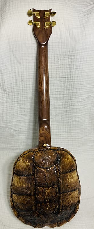 Turtle shell tenor banjo | Reverb