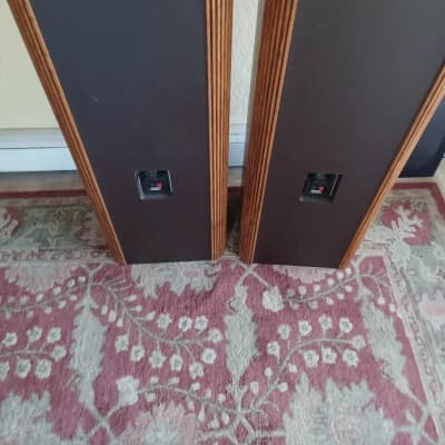 Infinity RS4B - oak | Reverb