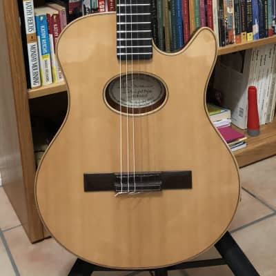 Buscarino Starlight Nylon with Barbera Pickup 2019 Honduras | Reverb