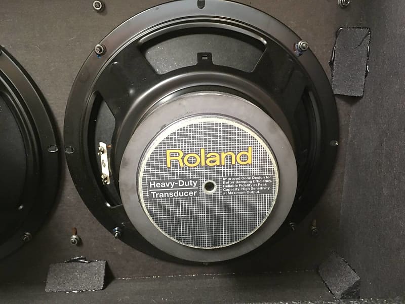 Roland 10" Speaker 2020s | Reverb