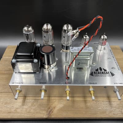 Black Cat Amplification Fender Princeton AA964 Replica with | Reverb