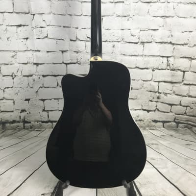 Epiphone Limited Edition Hummingbird Performer PRO | Reverb