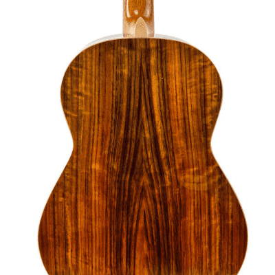 Raimundo Thu Le Signature Edition Classical Guitar | Reverb