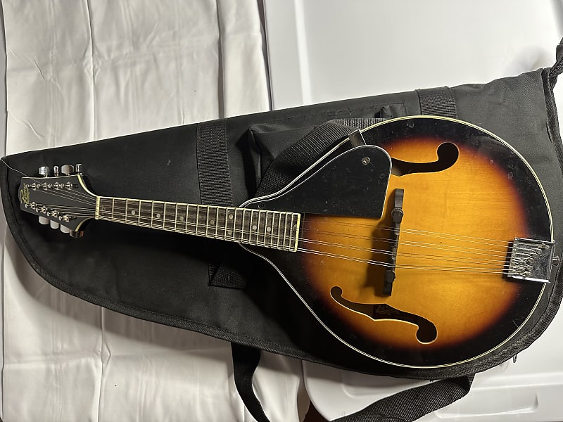 Rogue Mandolin | Reverb