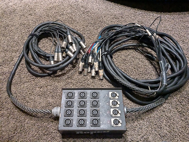 RapCo 16ch Split Snake | Reverb