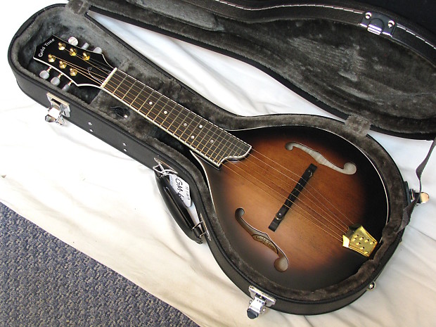 GOLD TONE GM-6+ 6-string electric mandolin GUITAR new w/ HARD | Reverb