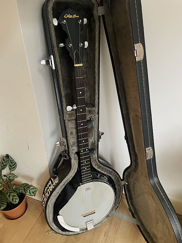 Delta Blue 5 String Closed Back Banjo + Grafton Hard Case & | Reverb