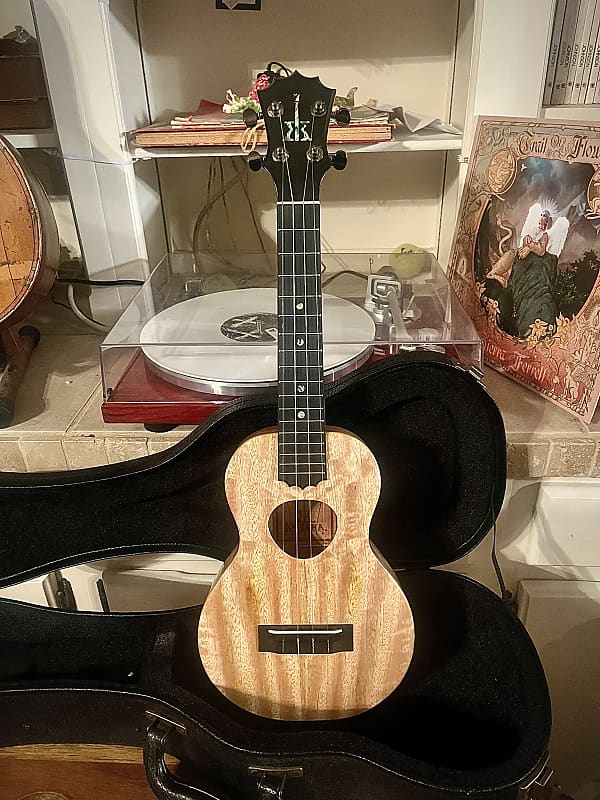 Koaloha Concert Mango KCM-10RP-MG - Pikake | Reverb