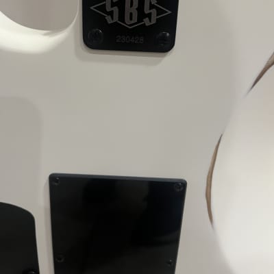 Steve Brown Sound SBS VS300 Relic Alder Body Flamed Neck | Reverb