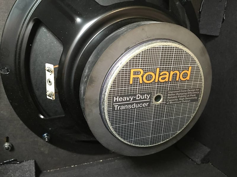 Roland 10" Speaker 2020s (1 of 3 available) | Reverb