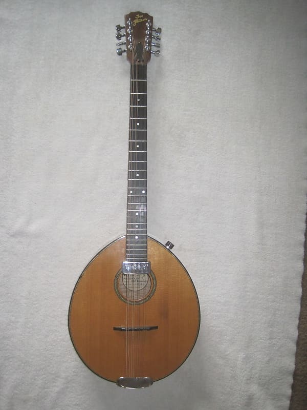 Flatiron / Gibson Bozeman MT 3MW Bouzouki or Octave Mandolin | Reverb