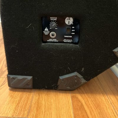 SWR Working Pro 10 100 Watt 1x10 Bass Combo Amp, Tilt Back, | Reverb