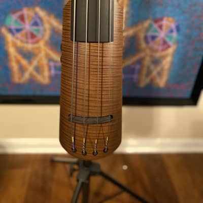 NS Design NXTa Active Traditional Upright Bass with upgrades | Reverb