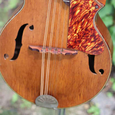 Windsor mandolin - natural | Reverb