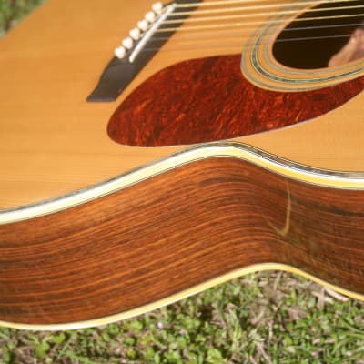 1976 F.Hashimoto F220 OOO size Beautiful Rosewood Guitar - | Reverb