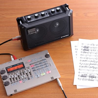 Roland Mobile Cube Battery-Powered Stereo Amplifier | Reverb