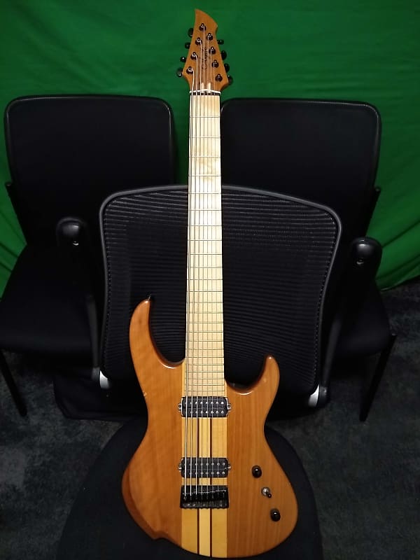 (30 Inch Scale 8 String) Agile Intrepid Pro 830 w/BKP | Reverb
