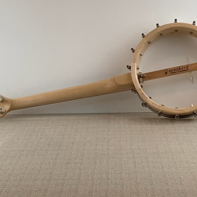 Songbird Stringed Instruments Model 20 Luthier built | Reverb