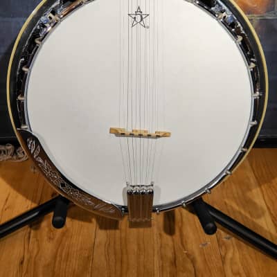 Washburn B19 Banjo Tobacco Burst w/ OHSC | Reverb