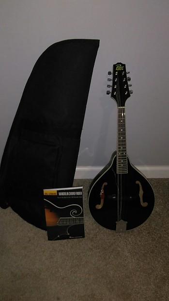 Rogue Mandolin 2007-2013 Black | Reverb