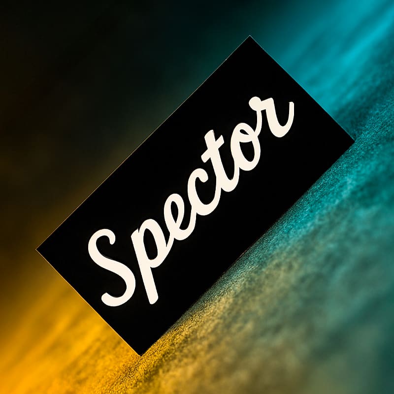 SPECTOR BASS GUITARS STICKER INSANELY RARE LIMITED EDITION | Reverb