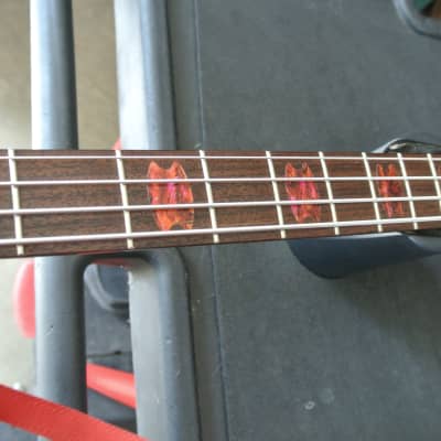 Spector Legend 4 , Custom order 32 " medium scale, loaded | Reverb