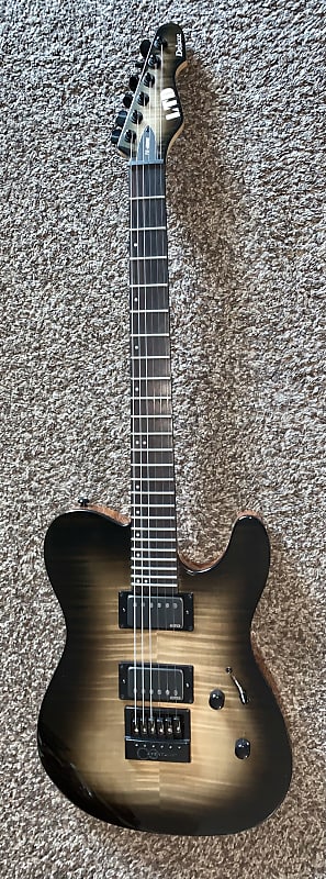ESP LTD Te 1000 deluxe evertune electric guitar | Reverb