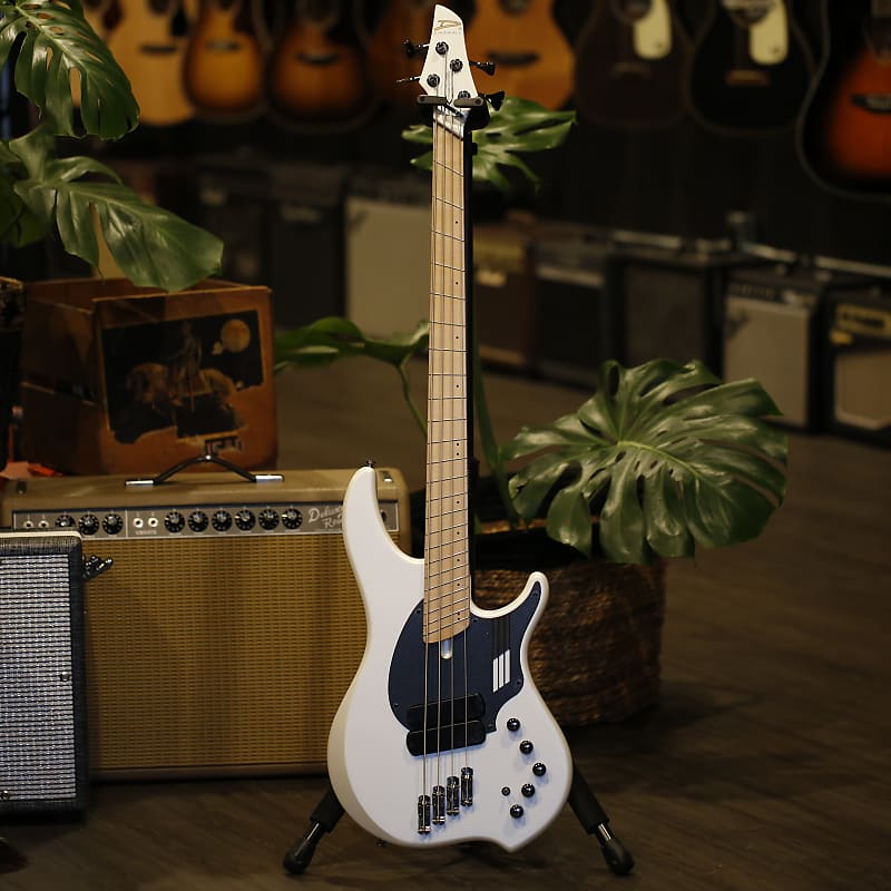 Dingwall Guitars NG2 Adam “Nolly” Getgood Signature 4 String | Reverb