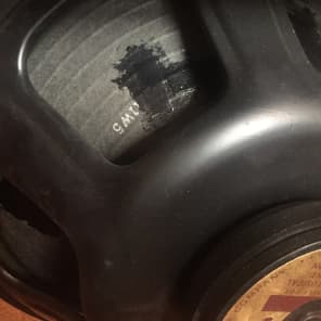 Alamo Fury Bass Amp 1963/4 | Reverb